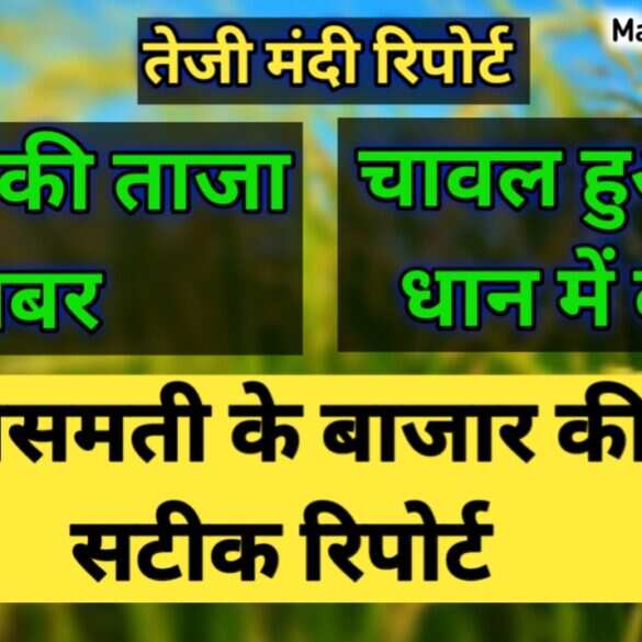 Dhan Ka Rate | 18 फरवरी की बासमती बाजार की ताजा रिपोर्ट | चावल हुआ तेज ...