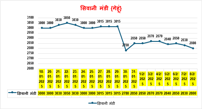 देखे आज के सिवानी मंडी के ताजा भाव। siwani mandi ke taja bhav 8 ...